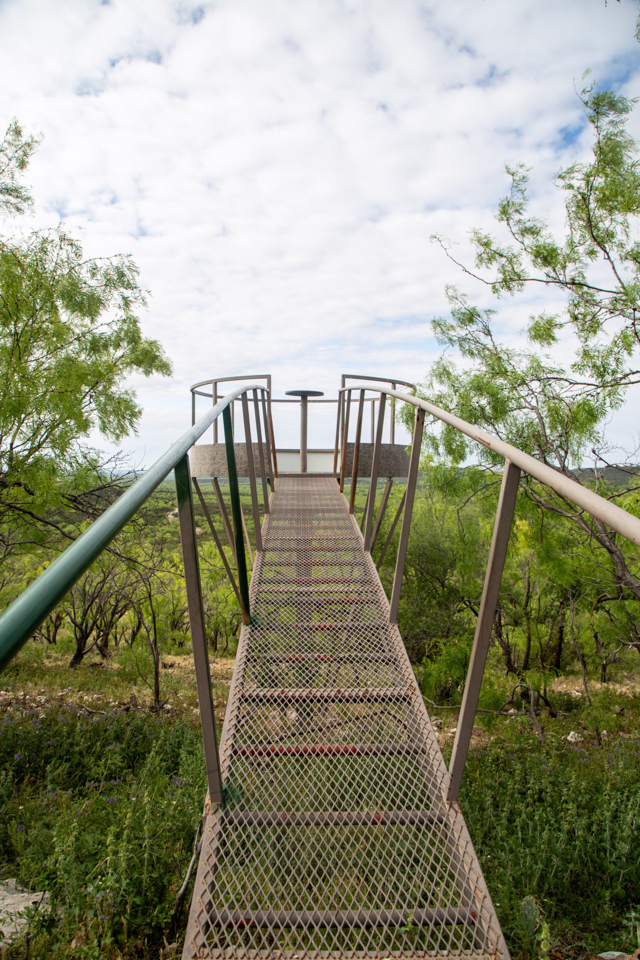 About Double D Ranch | Double D Ranch, LLC