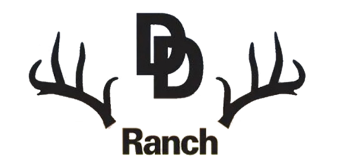 Double D Ranch | 1648 Spring Ave, Water Valley, Texas 76958